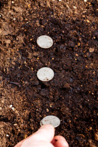 7 Biblical Meanings Of Finding Pennies: Are They From Heaven?