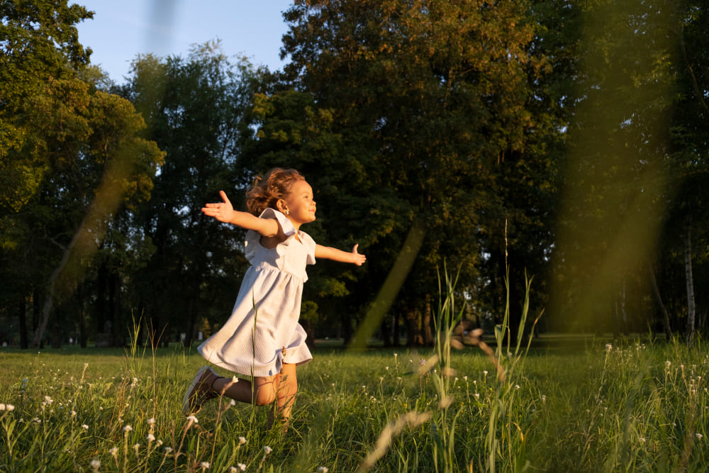 Spiritual Meaning Of The Name Willow In The Bible