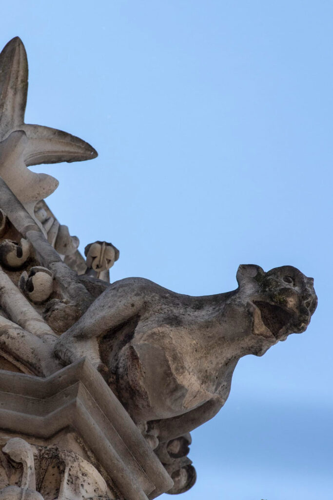 Gargoyle Spiritual Meaning: Are They Angels?