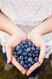 Blueberry Spiritual Meaning And Symbolism: Dream Or Real Life