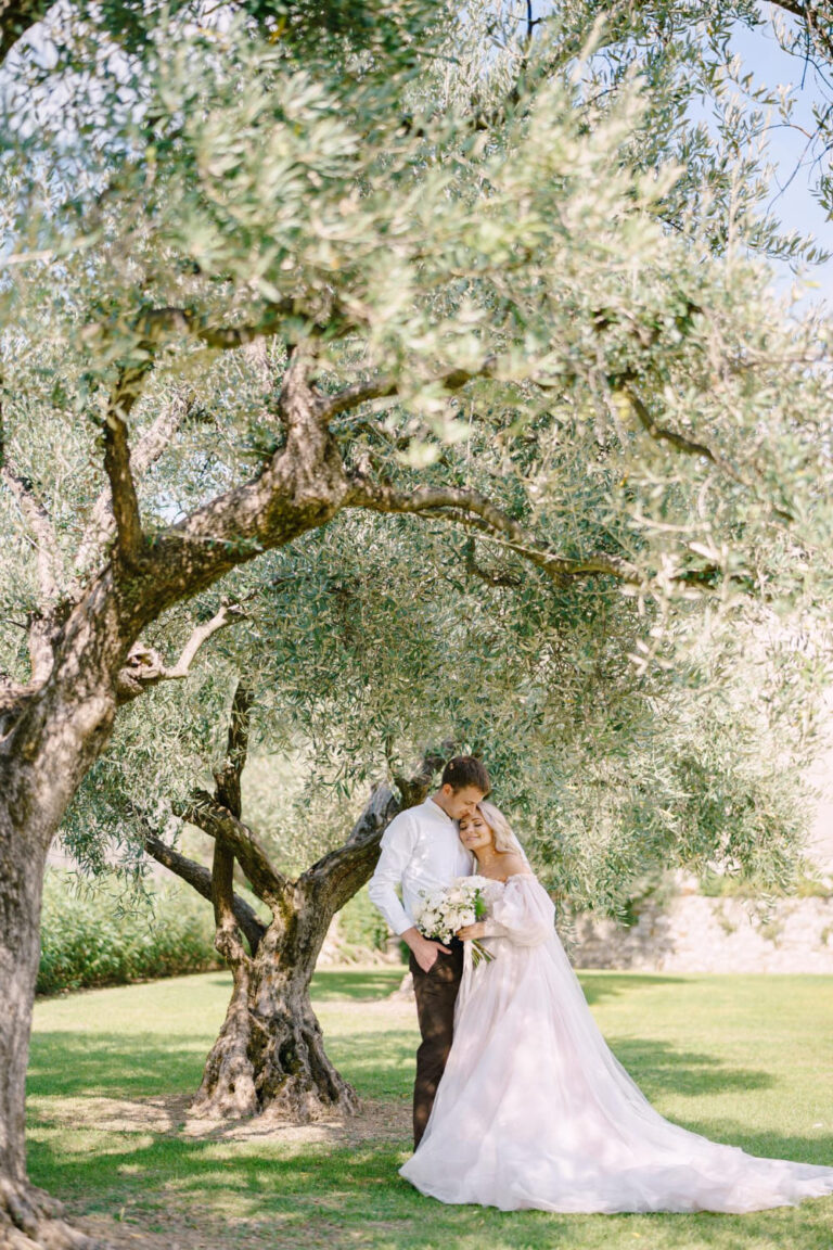 Olive Tree Spiritual Meaning: Symbolism Of The Branch In Love!